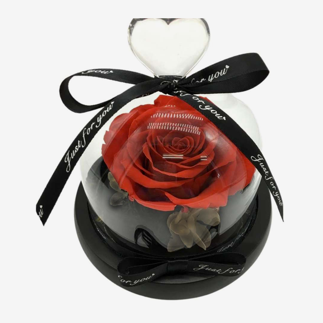 Eternal Love (Real Preserved Rose) – Gift4youshop